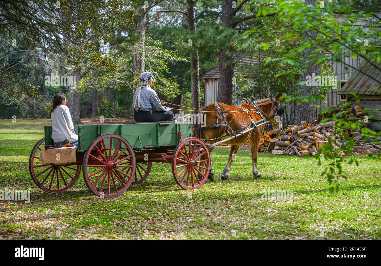 19th Century Antique Farm Wagon from historic farm in Manteo, NC Stock ...