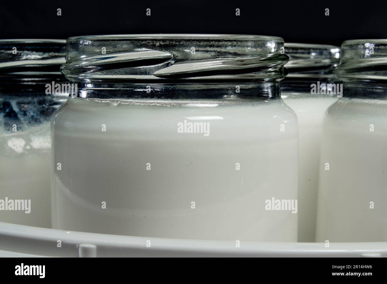 Homemade yogurt with an electric yogurt maker Stock Photo - Alamy