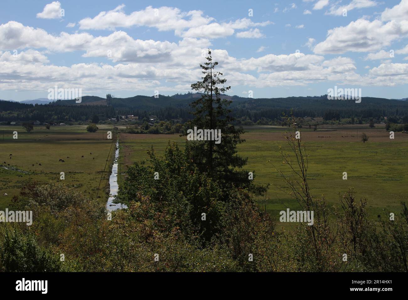 View of coast of oregon Stock Photo - Alamy
