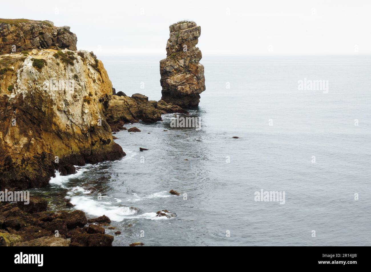 Oceanic reef, Portugal Stock Photo - Alamy
