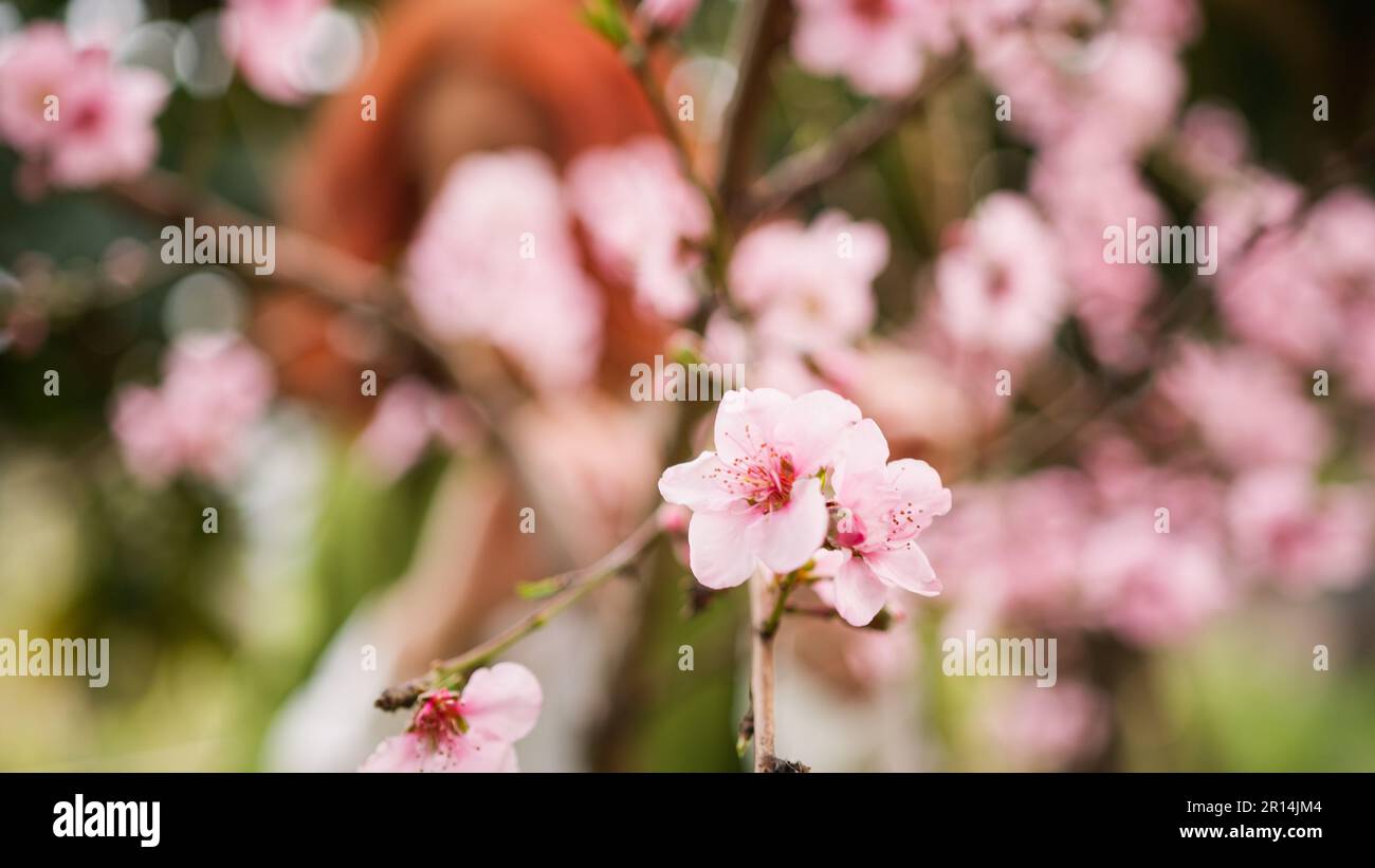 Brunch of flower hi-res stock photography and images - Alamy