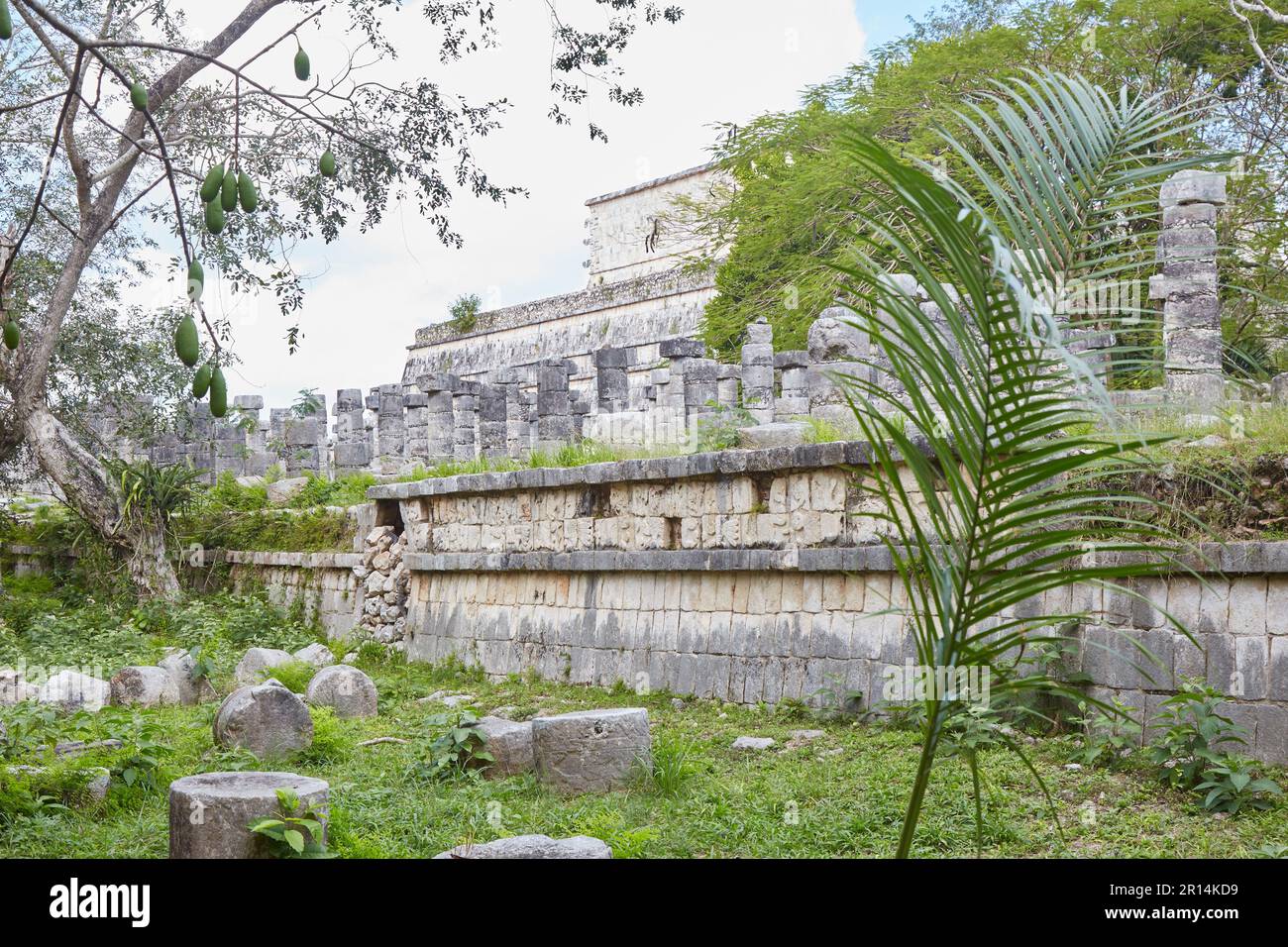 Chichen Itza, one of the greatest ancient Mayan cities, is located in ...