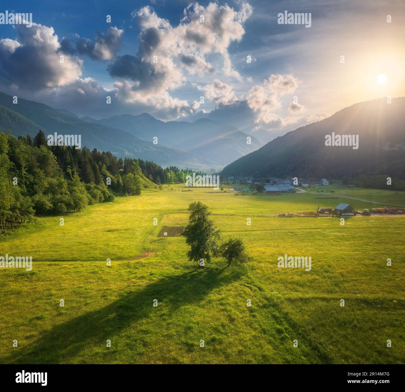 Aerial view of trees in green alpine meadows in mountain valley Stock ...