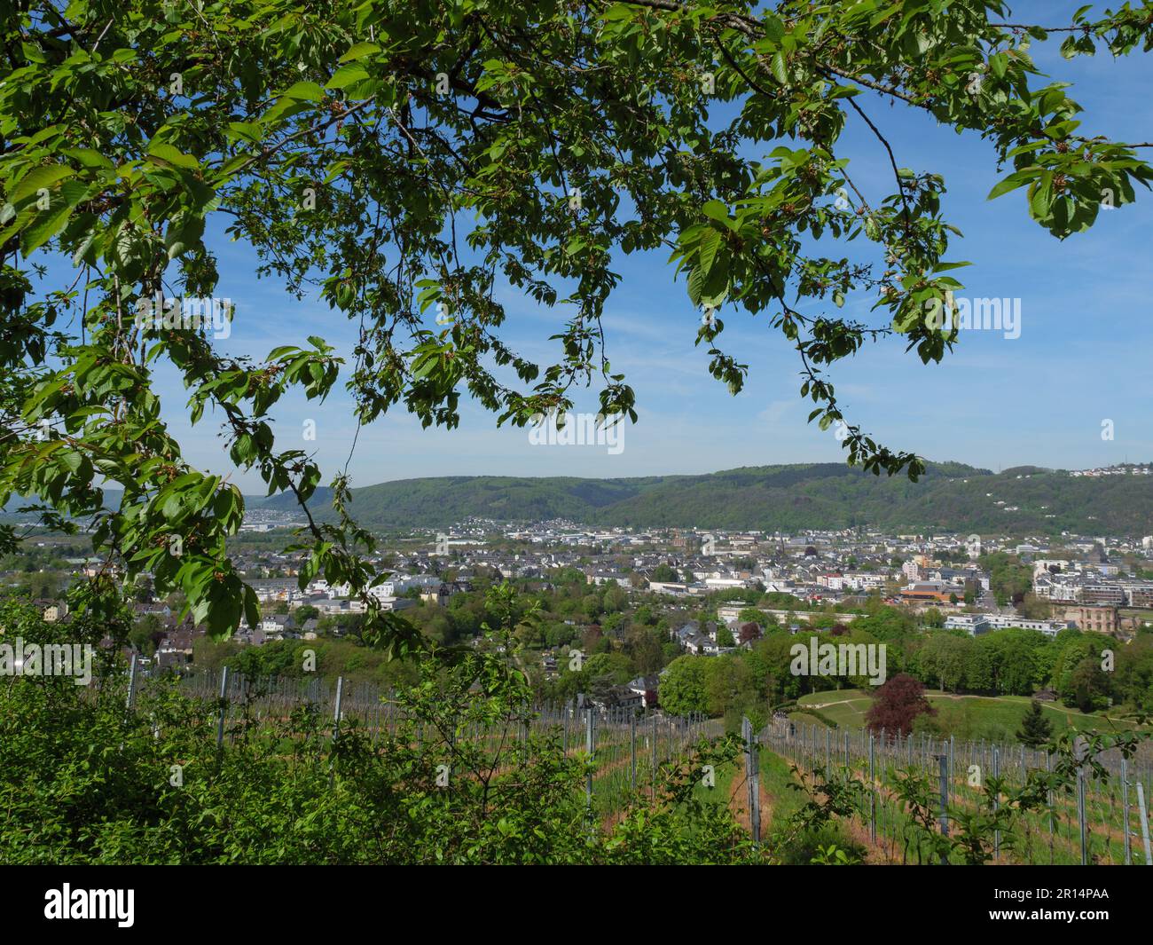 the city of Trier at the moselle river Stock Photo - Alamy