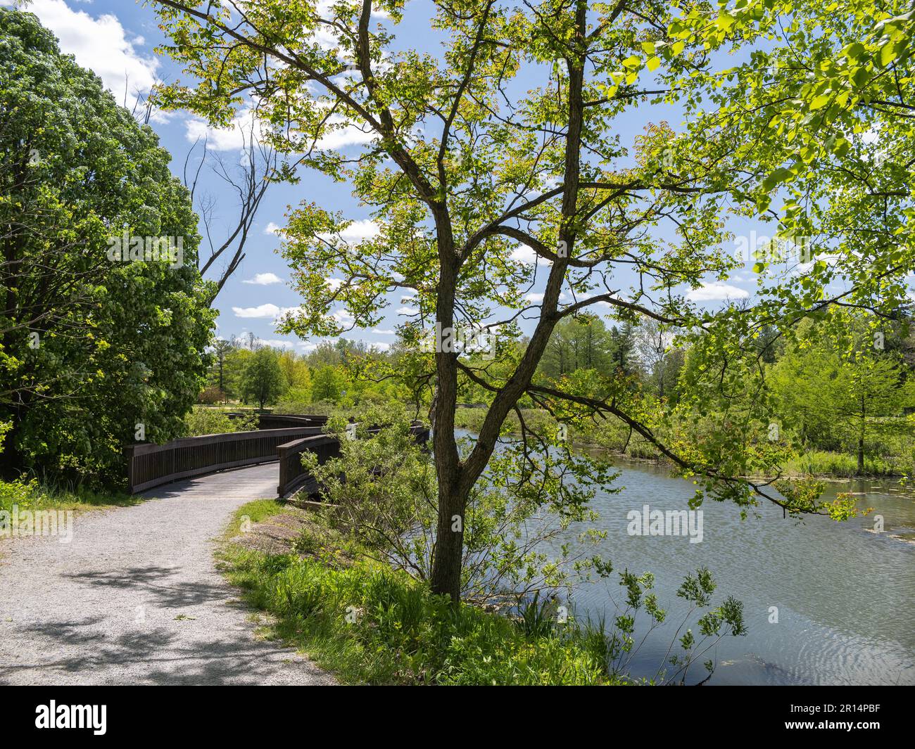 Recreational park scene hi-res stock photography and images - Alamy