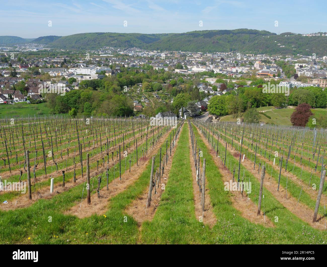 the city of Trier at the moselle river Stock Photo - Alamy