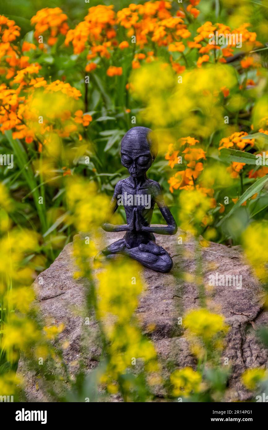 alien zen yoga in a flower garden Stock Photo - Alamy