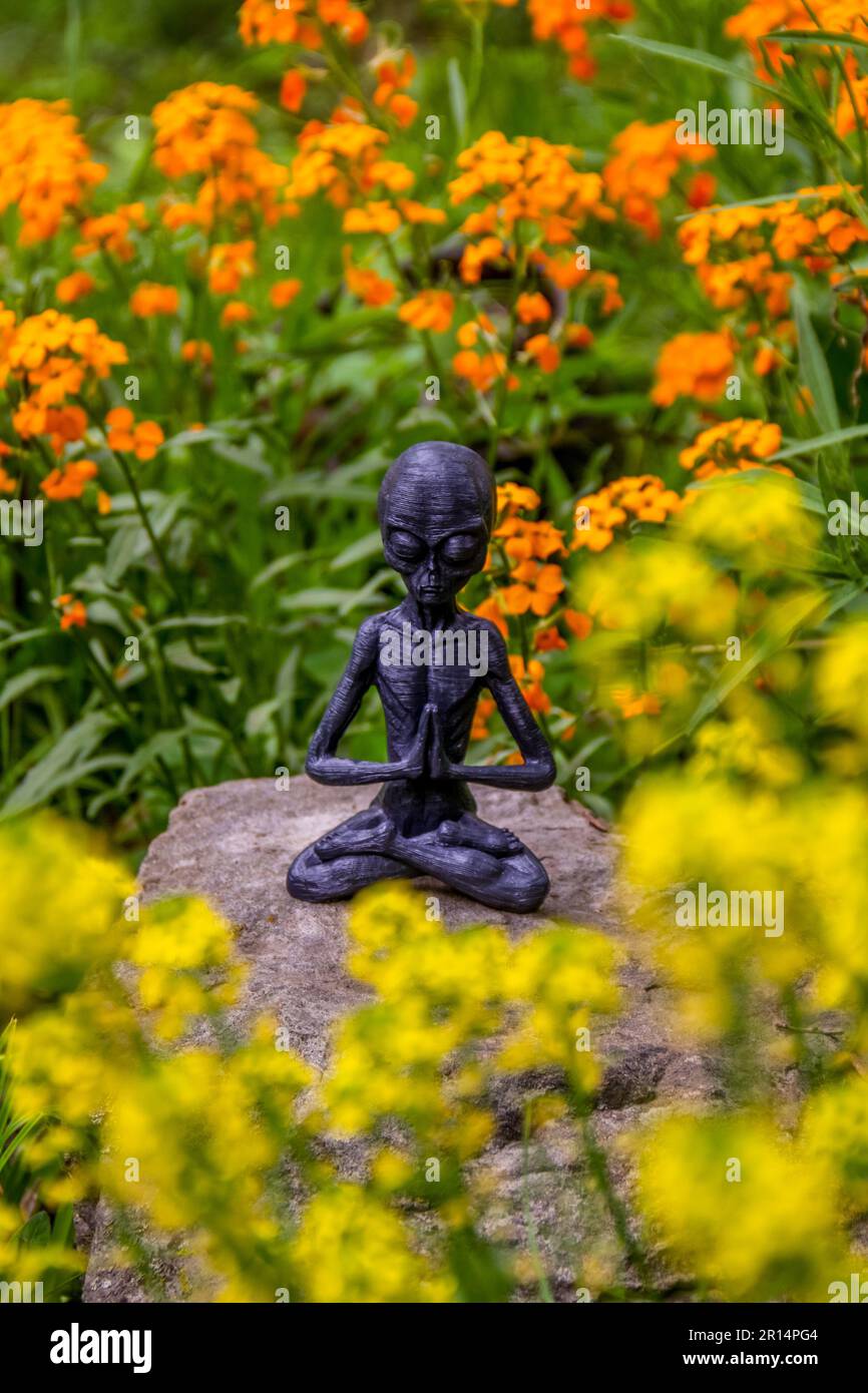 alien zen yoga in a flower garden Stock Photo - Alamy