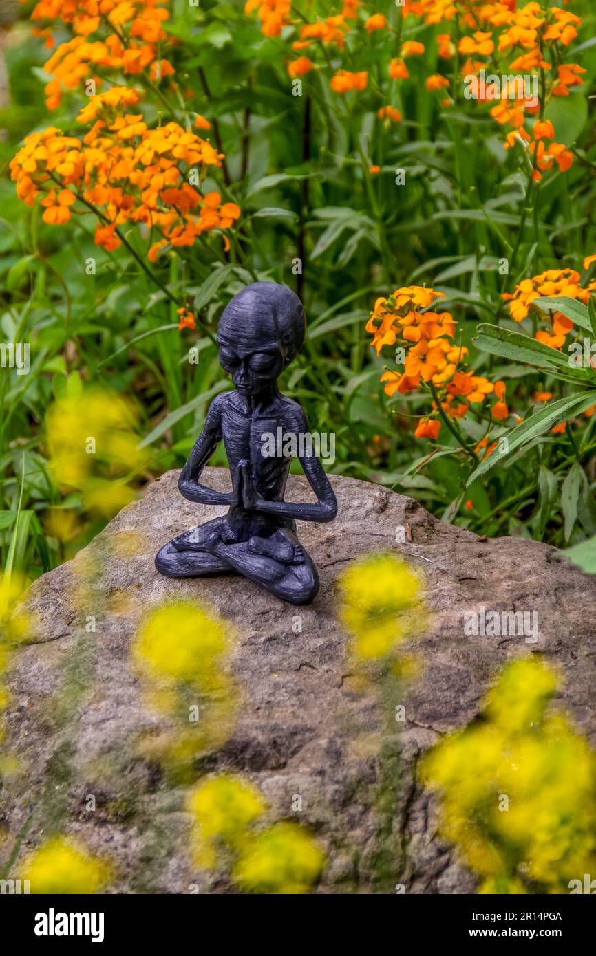 alien zen yoga in a flower garden Stock Photo - Alamy