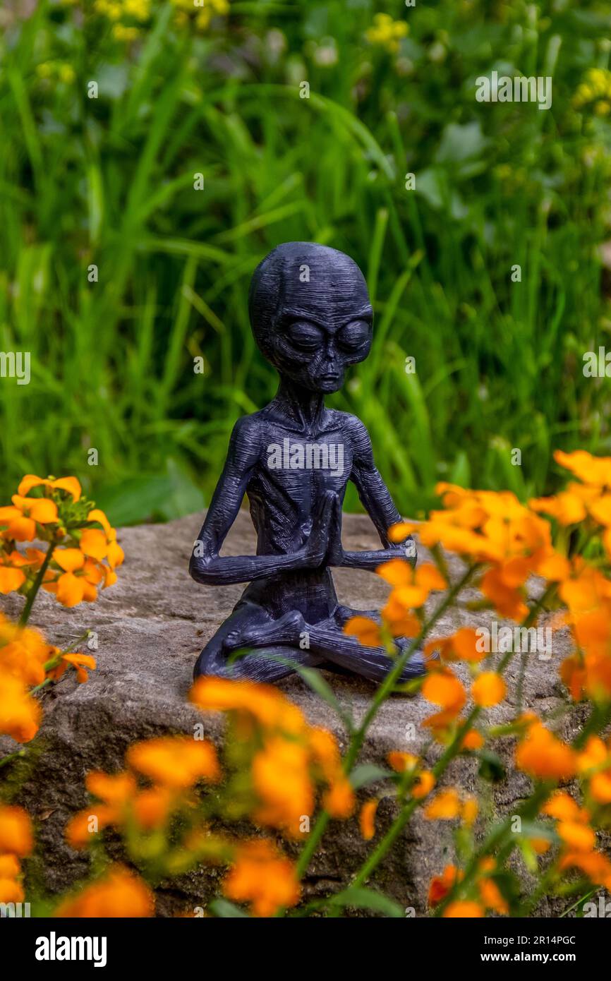 alien zen yoga in a flower garden Stock Photo - Alamy