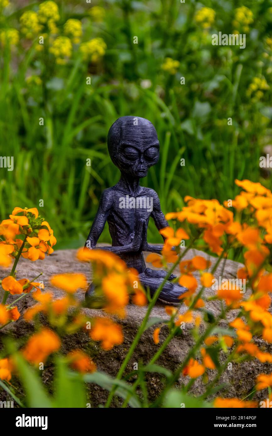 alien zen yoga in a flower garden Stock Photo - Alamy