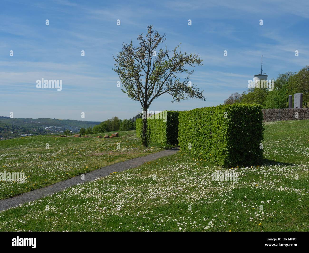 the city of Trier at the moselle river Stock Photo - Alamy
