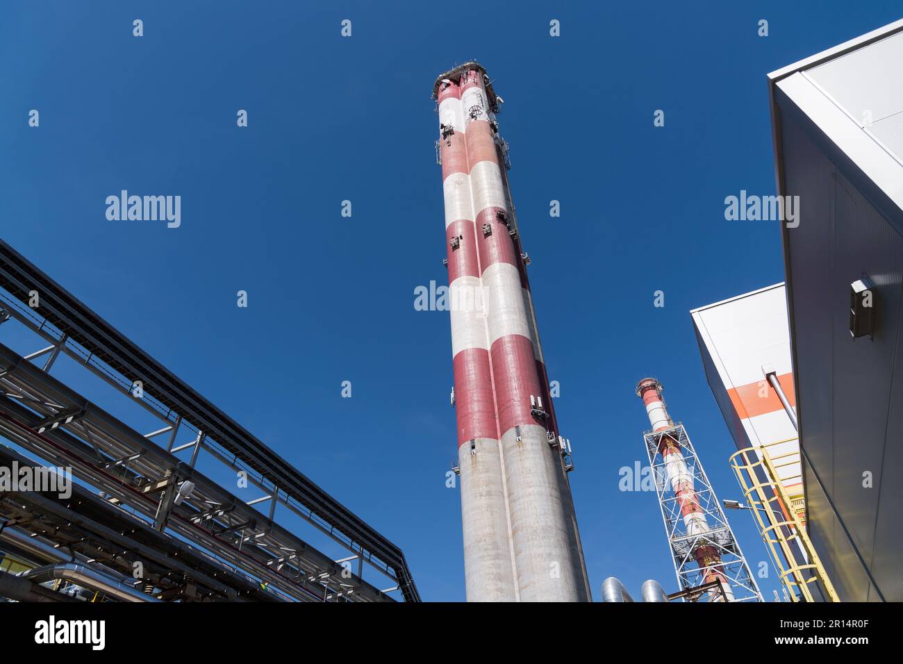 Poland bird banding hi-res stock photography and images - Alamy
