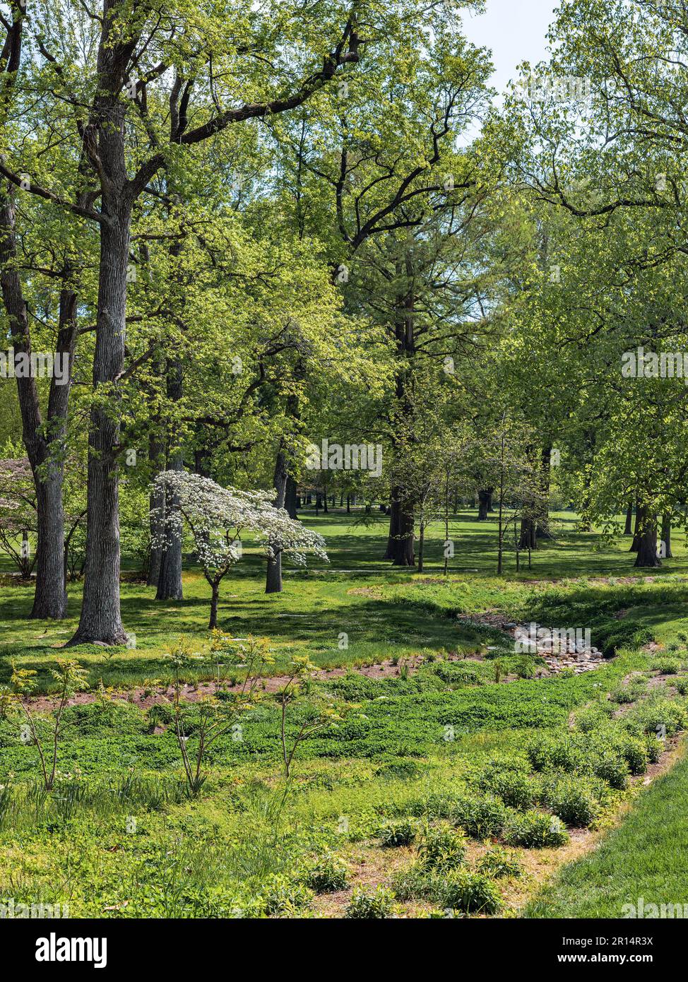 Landscape design at Tower Grove Park Stock Photo - Alamy