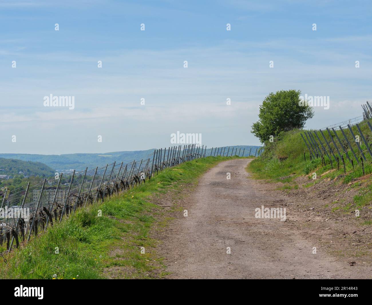 the city of Trier at the moselle river Stock Photo - Alamy