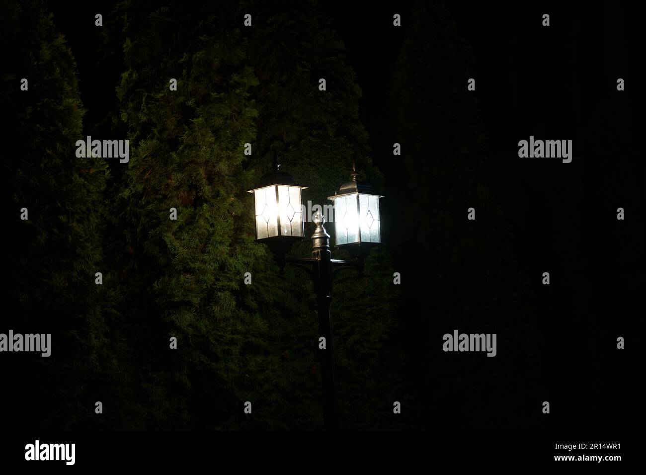 A single street lamp illuminates a dark, tree-lined street in a ...