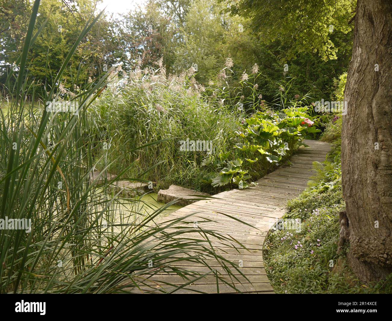 Boardwalk through the Bog Garden at at Brobury House Gardens in ...