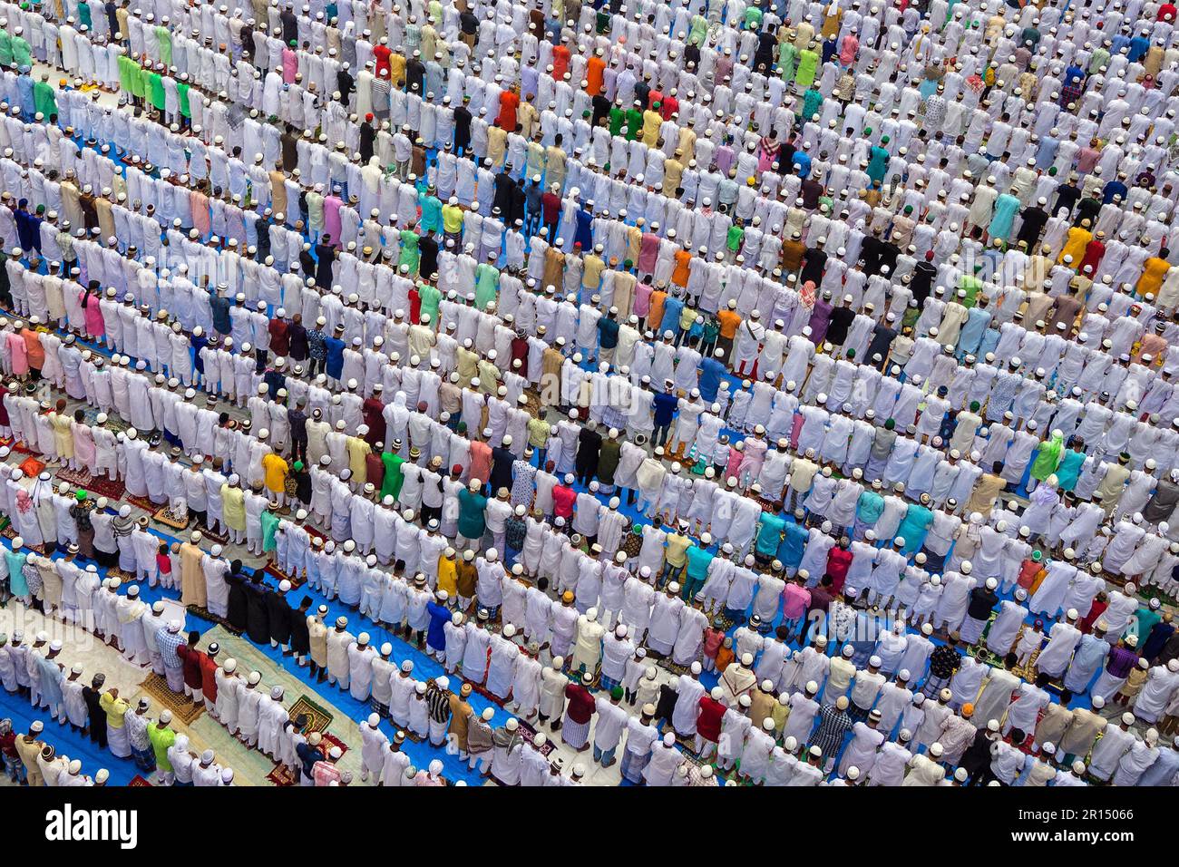 A group of people stand in a line with their hands raised towards the ...