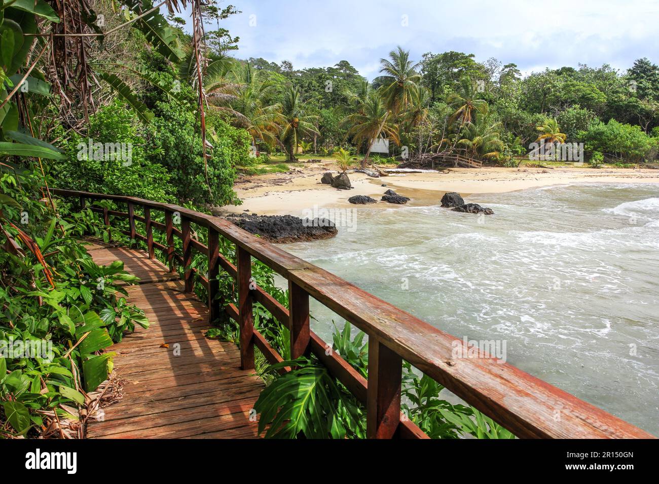 Wooden walkway towards the Red Frog beach on Bastimentos Island in ...