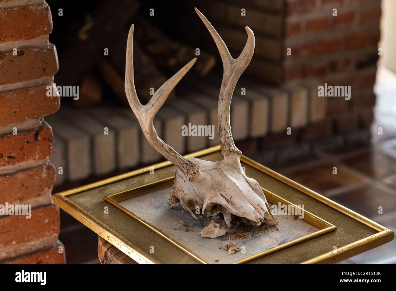 Trending interiors hi-res stock photography and images - Alamy