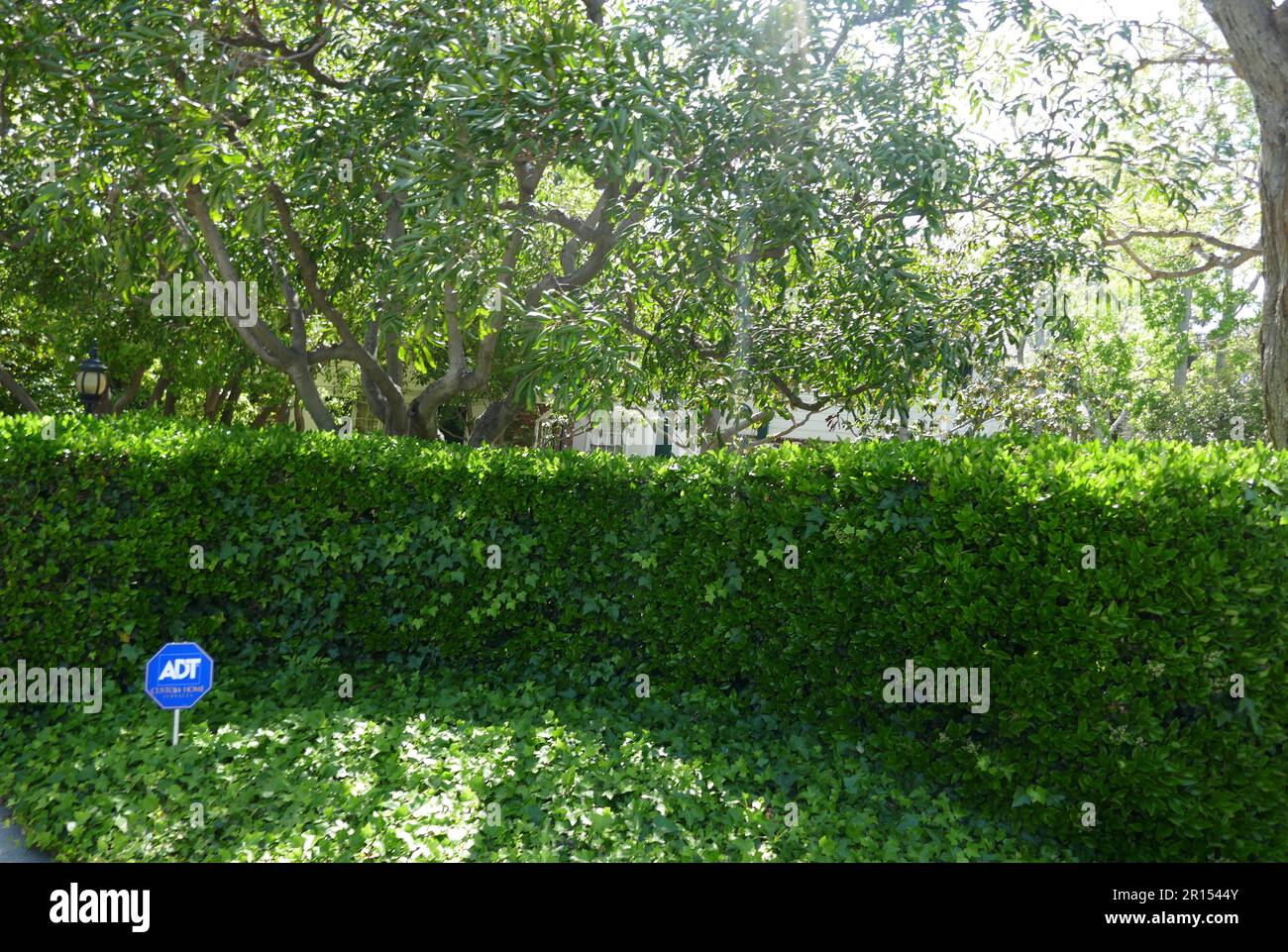 Los Angeles, California, USA 8th May 2023 Sports Commentator Al ...