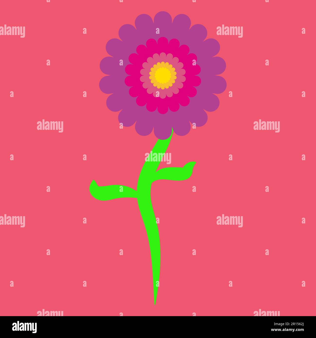 Purple, beautiful, colorful, simple flower with a yellow heart without ...