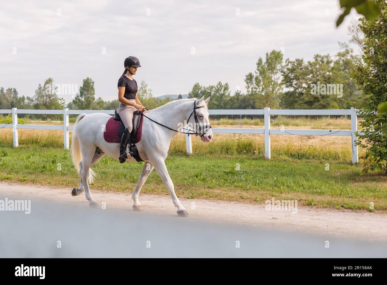 Girl in an equestrian outfit gently caressing her snow white horse ...