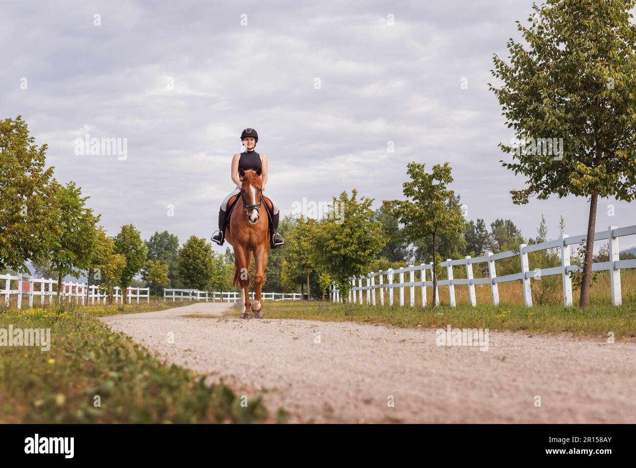Female rider, horseback riding along the trail that leads between white ...