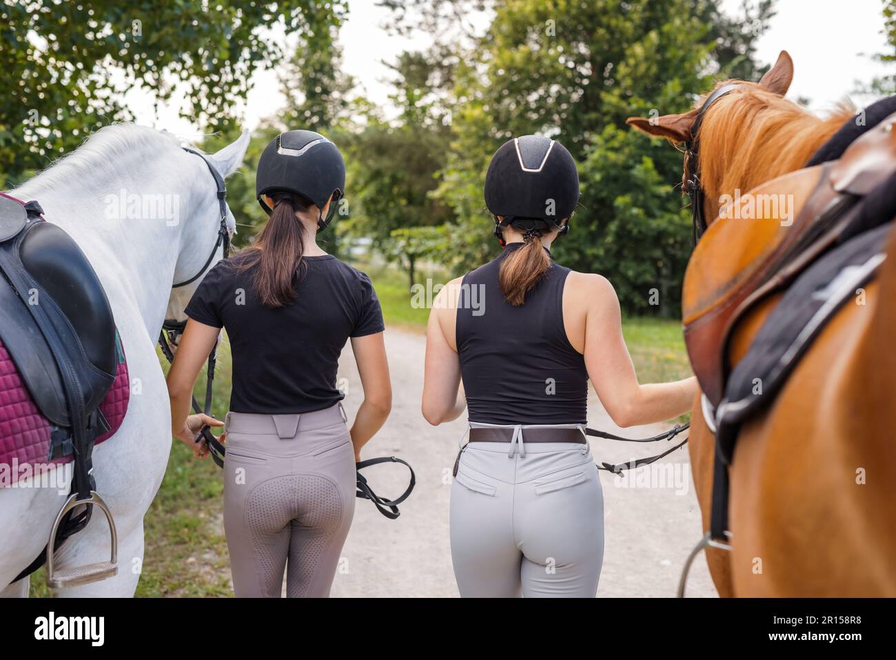 Two female riders enjoying riding their beautiful horses, side by side ...