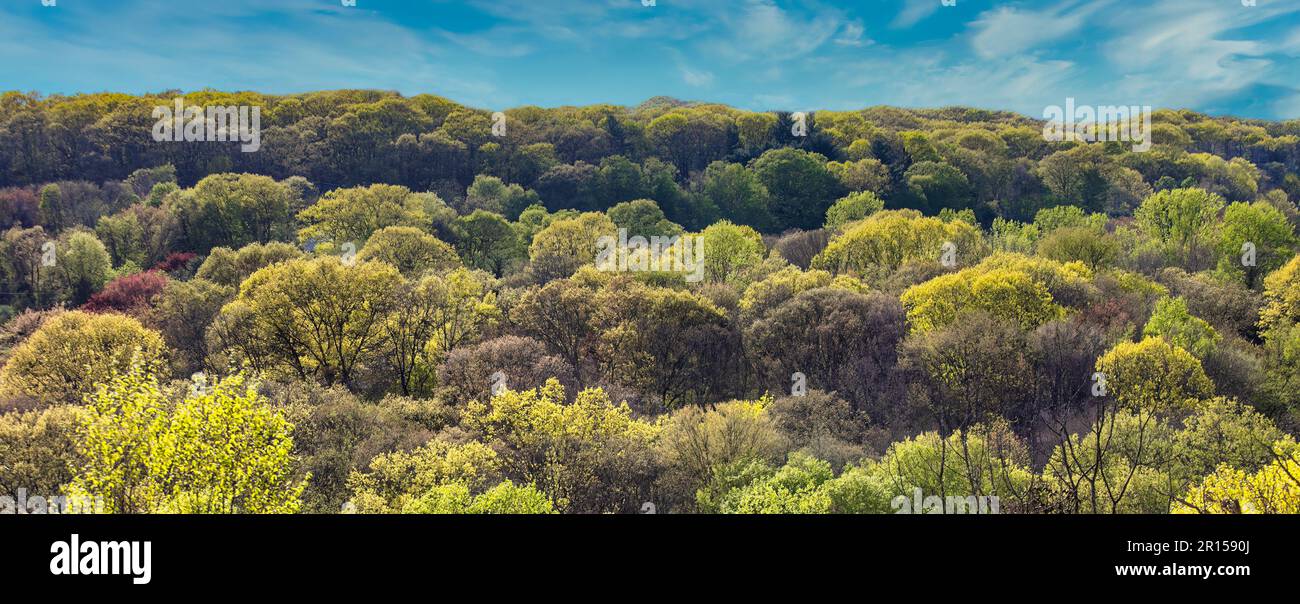 Countryside panorama in springtime hi-res stock photography and images ...