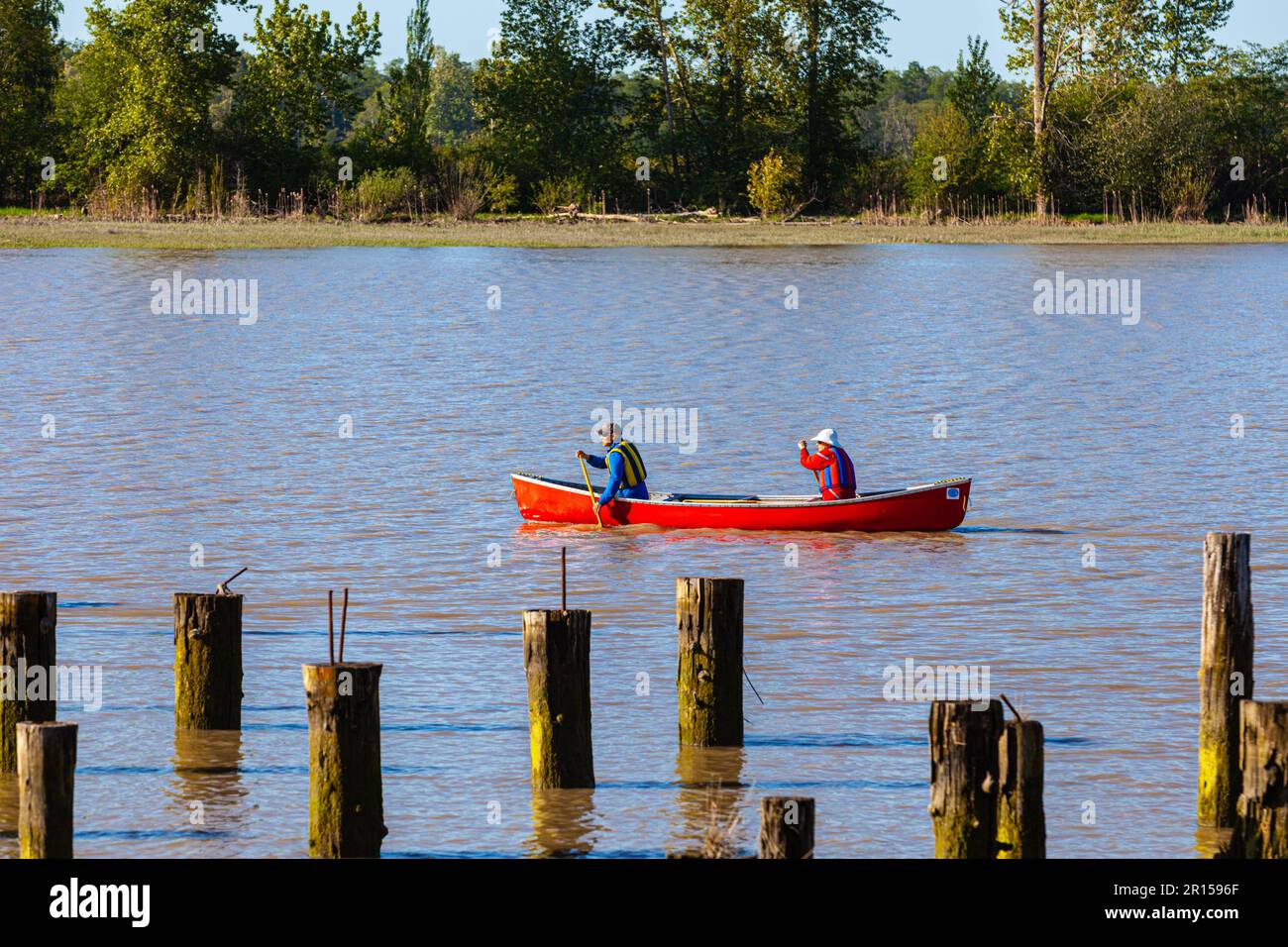 Couple paddling a red canoe in the Steveston channel British Columbia ...