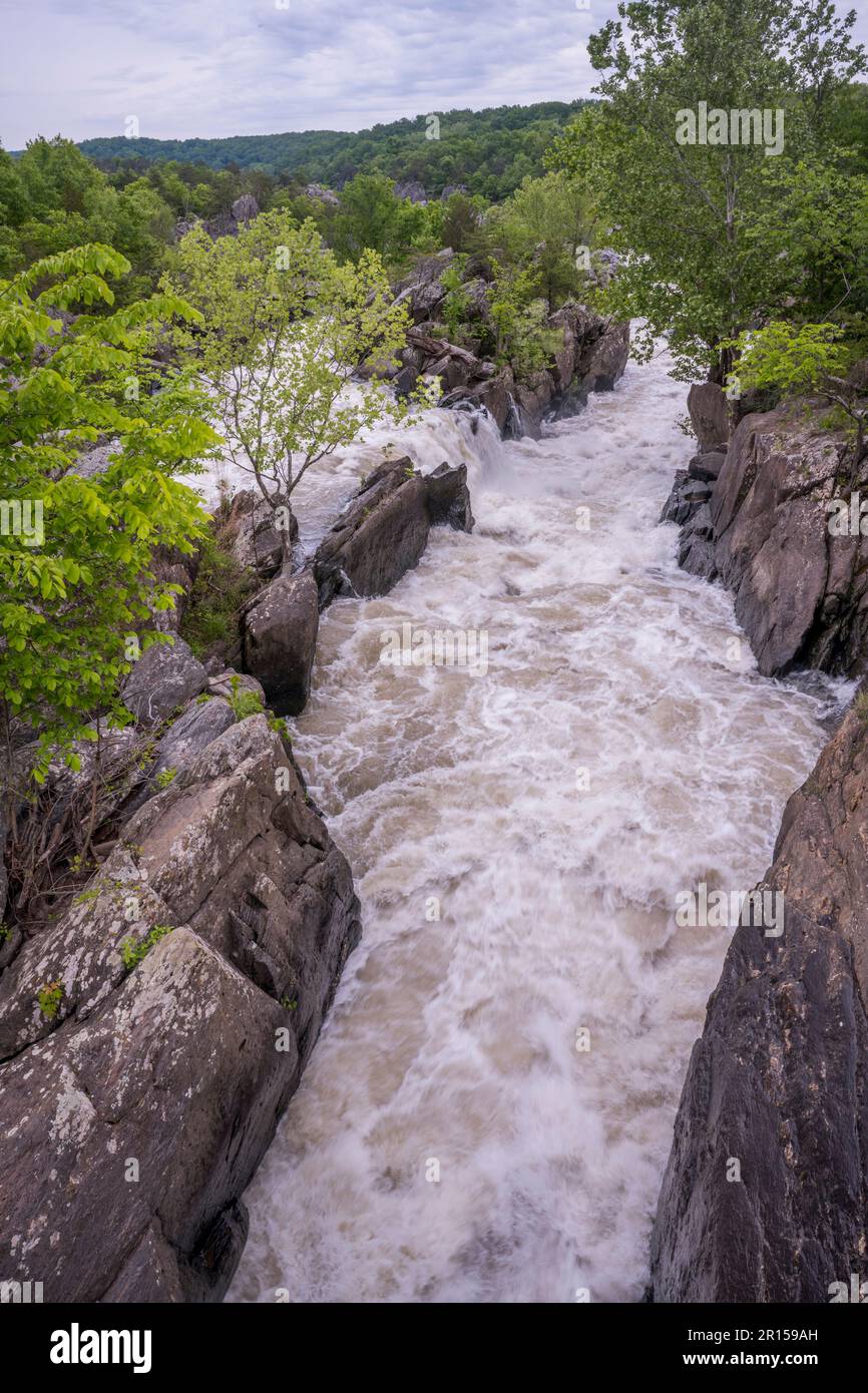 View of a waterfall (a sidearm of the Potomac River) along the Olmstead ...