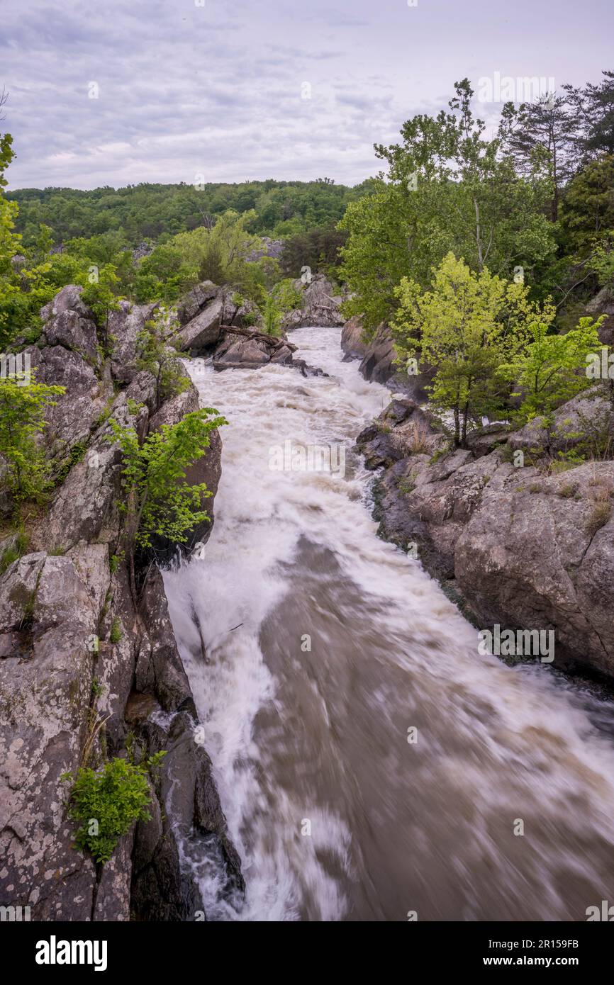 View of a waterfall (a sidearm of the Potomac River) along the Olmstead ...