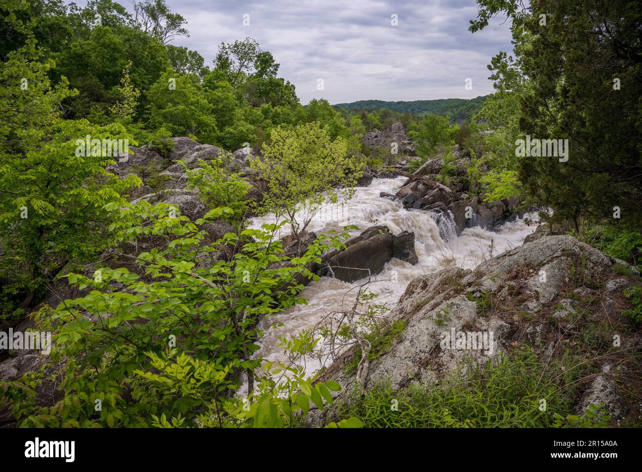 View of a waterfall (a sidearm of the Potomac River) along the Olmstead ...