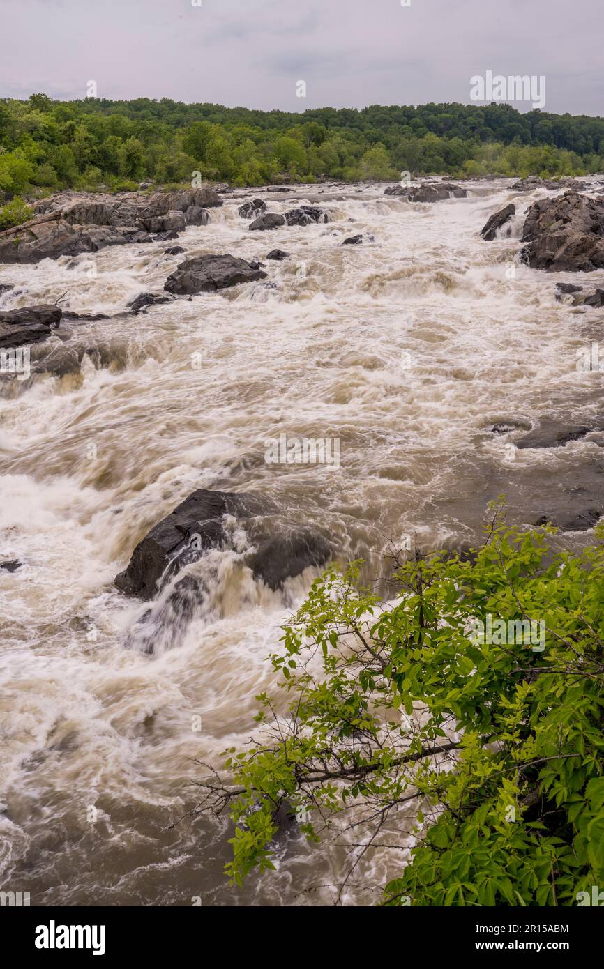 View of the Great Falls of the Potomac River from the Great Falls ...