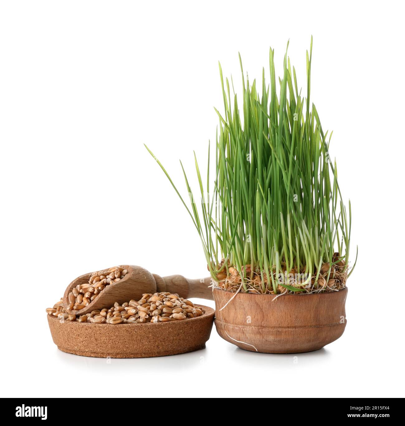 Superfood wheatgrass Cut Out Stock Images & Pictures - Alamy
