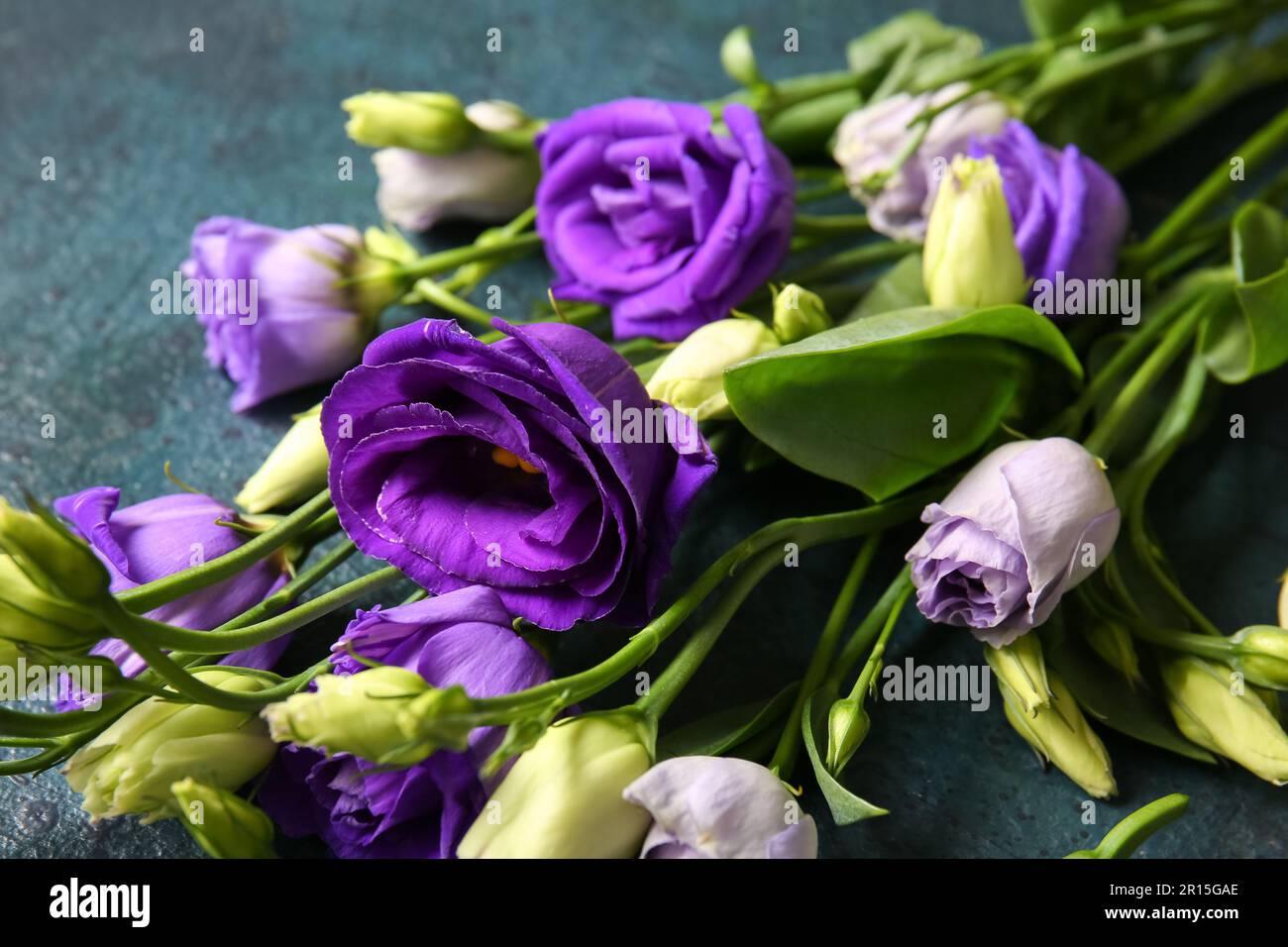 Beautiful eustoma flowers on dark color background, closeup Stock Photo ...
