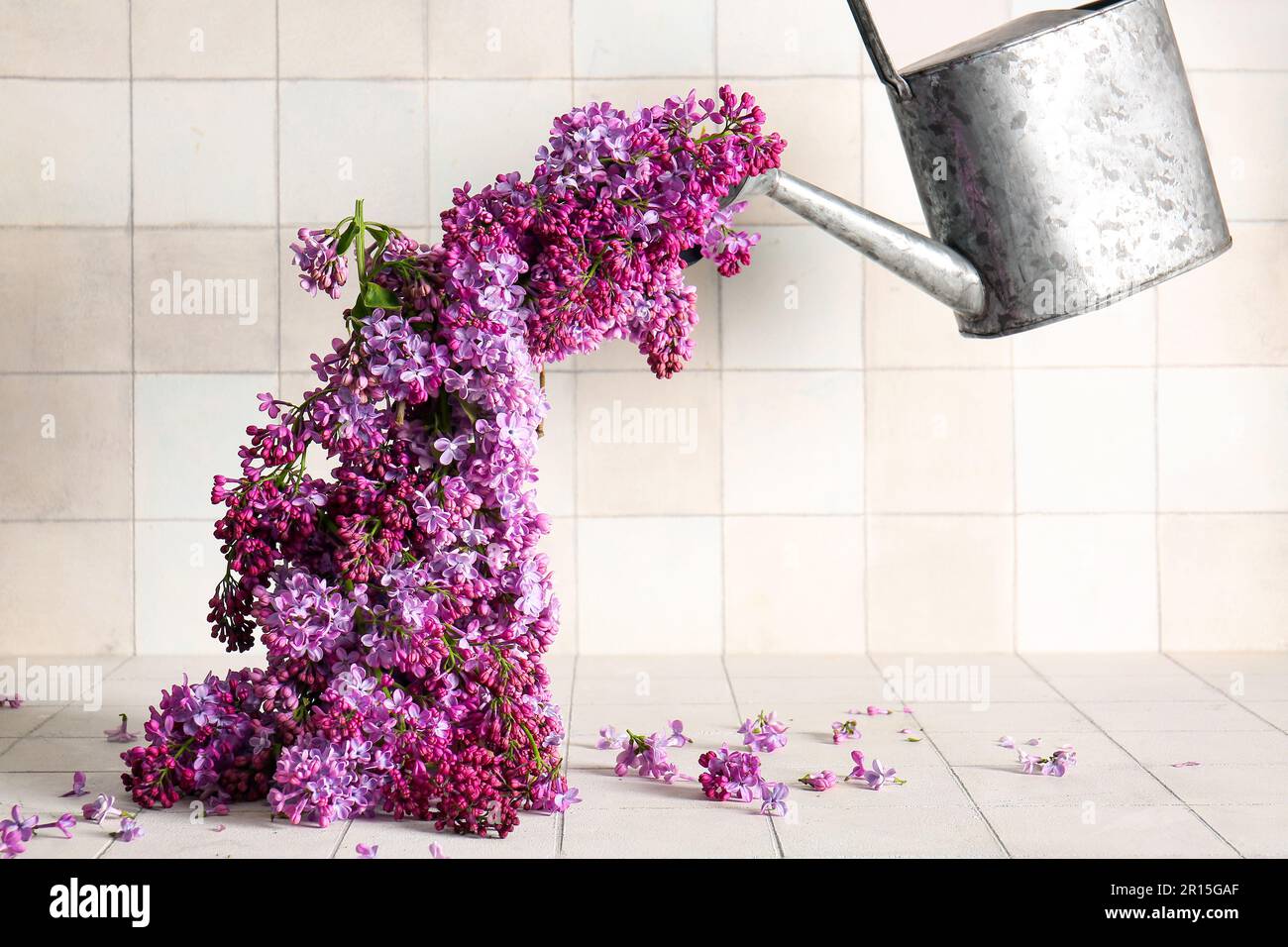 Pouring of beautiful lilac flowers from watering can against light tile ...