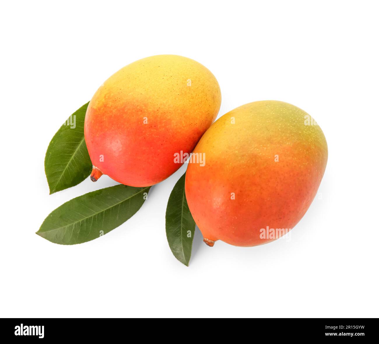 Fresh ripe mangoes on white background Stock Photo - Alamy