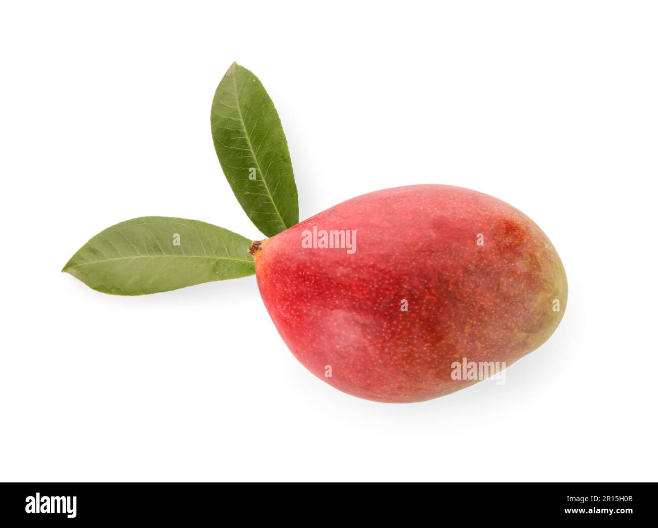 Fresh ripe mango on white background Stock Photo - Alamy