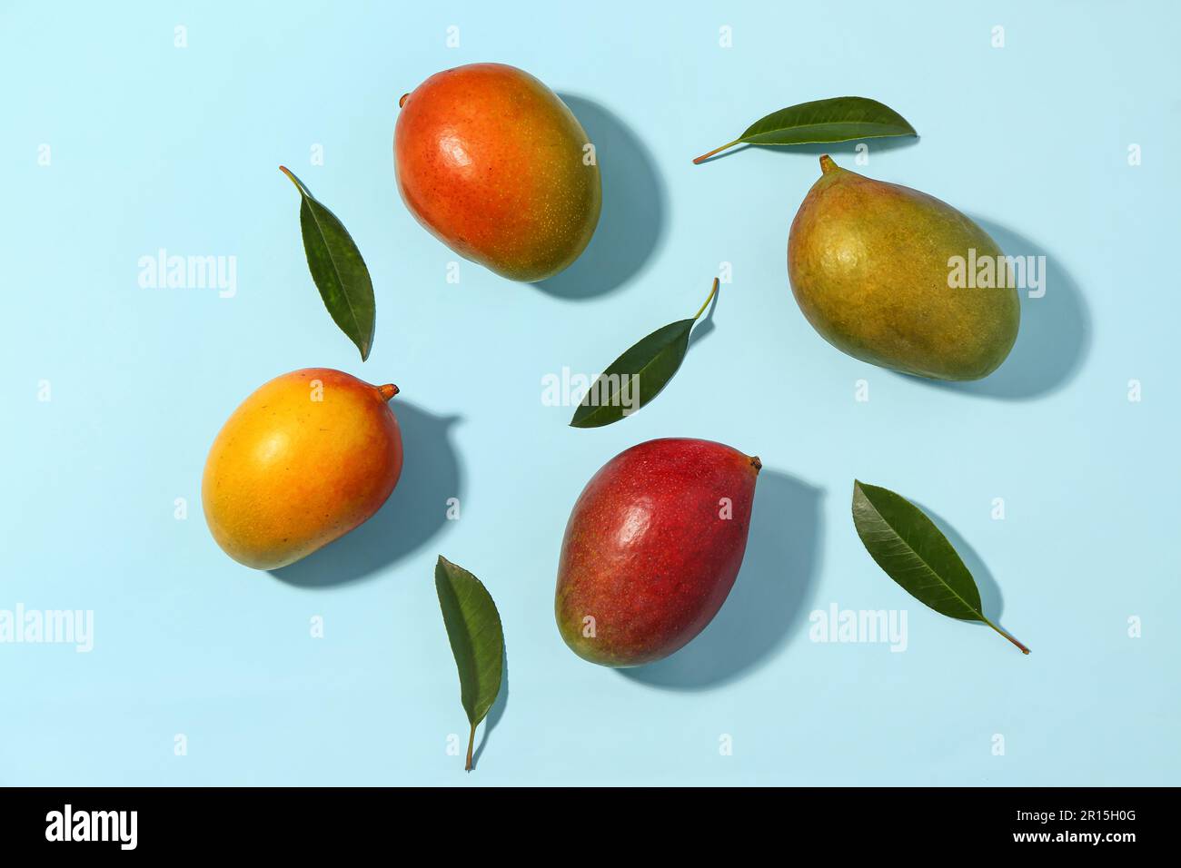 Fresh ripe mangoes on light blue background Stock Photo - Alamy