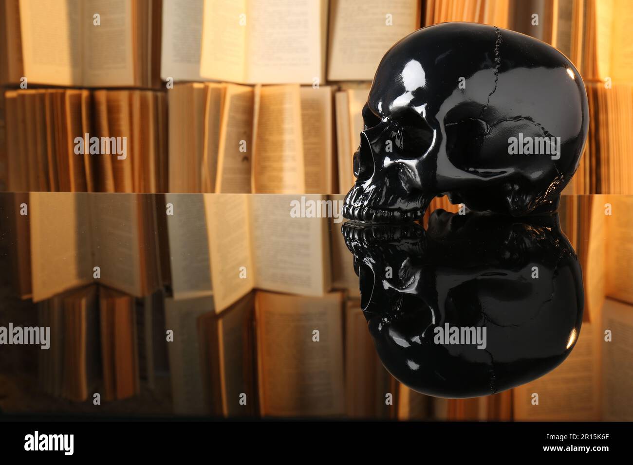 Human skull near old hi-res stock photography and images - Alamy