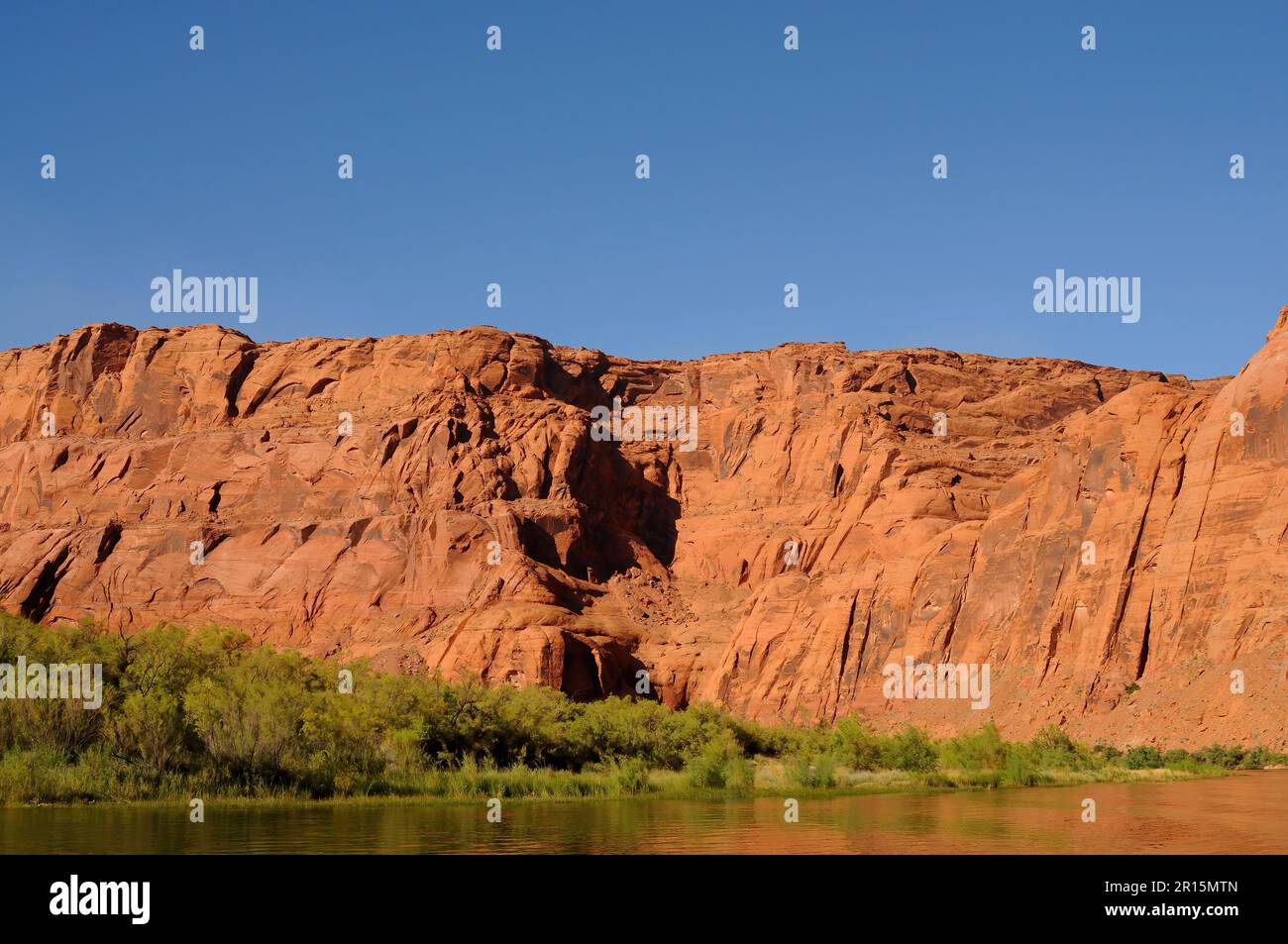 Colorado river and cliffs near Lee's Ferry Arizona Stock Photo - Alamy
