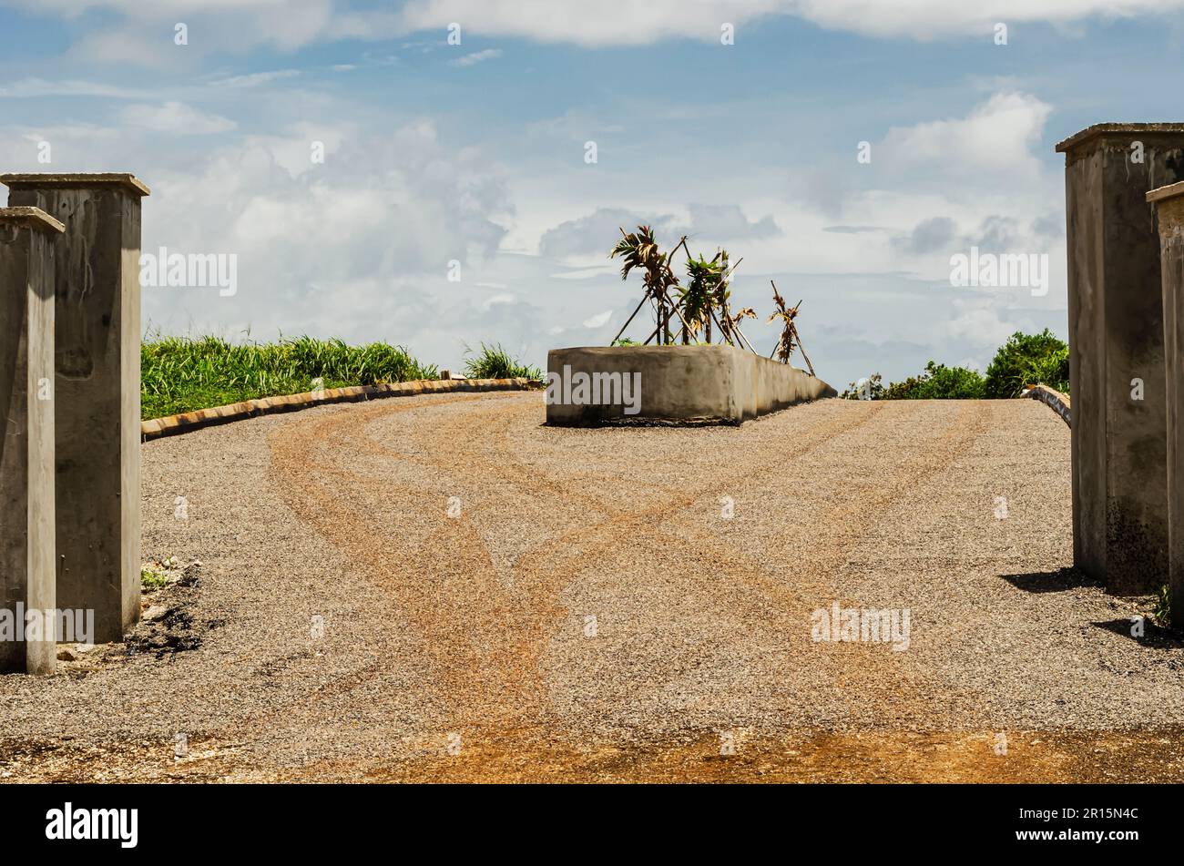 Entering the gateway of a new subdevission are small palm trees ...