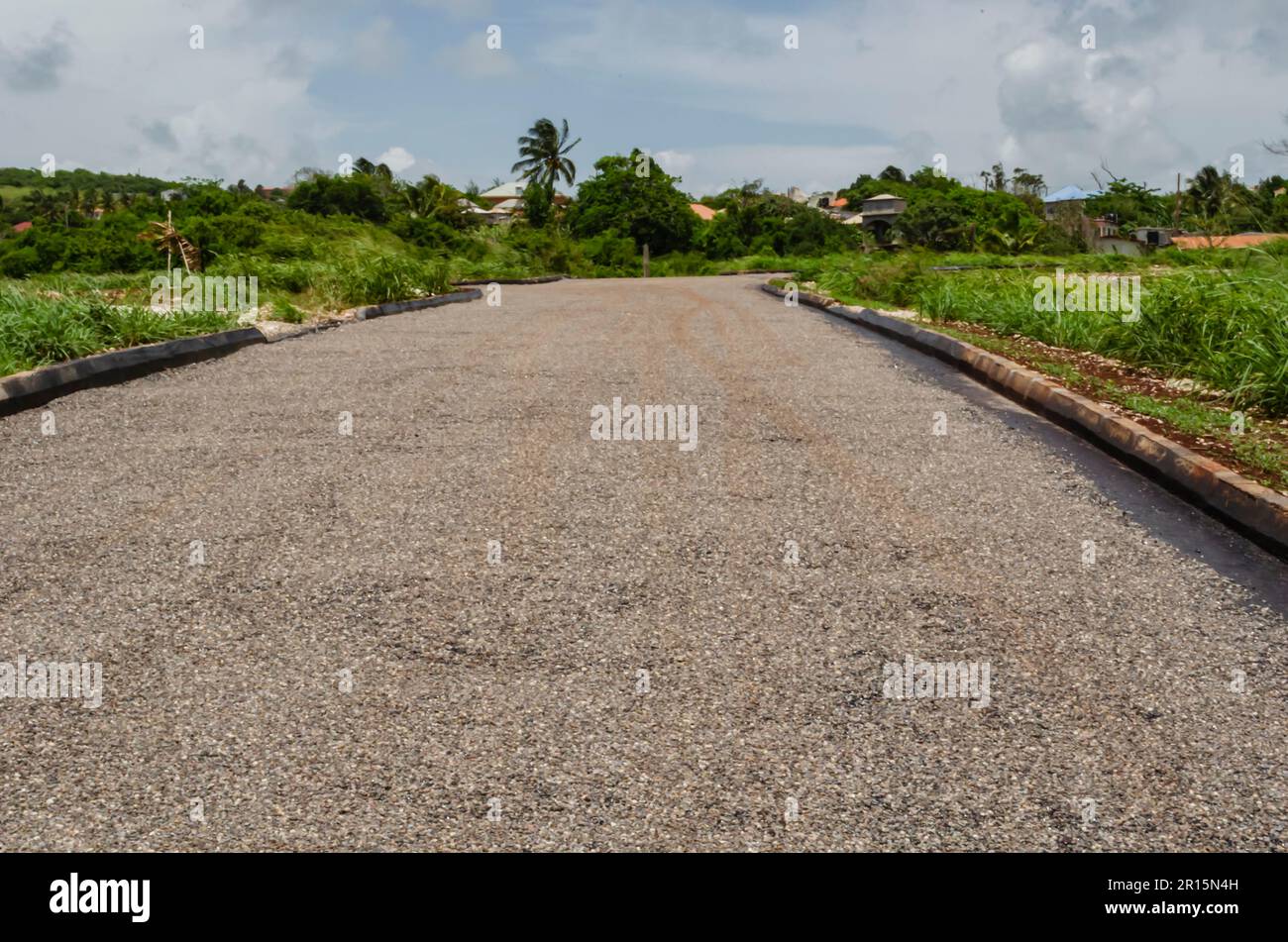 Roadway vegetation hi-res stock photography and images - Alamy