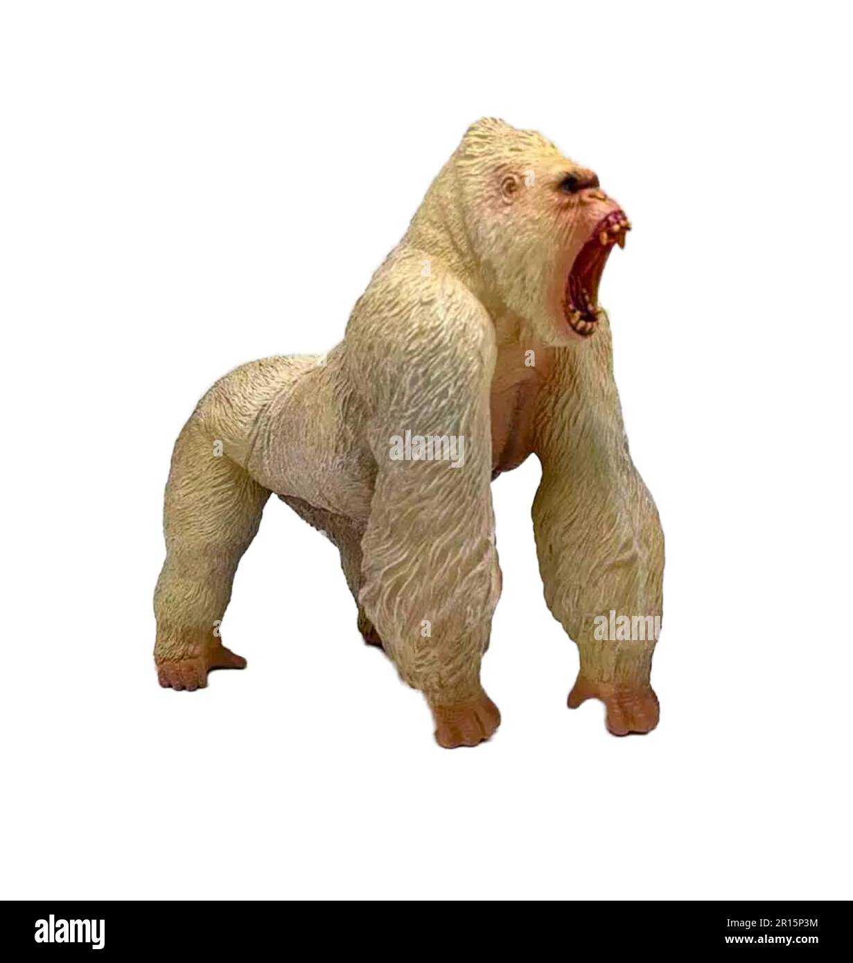 White Angry Gorilla Stock Vector Image & Art - Alamy