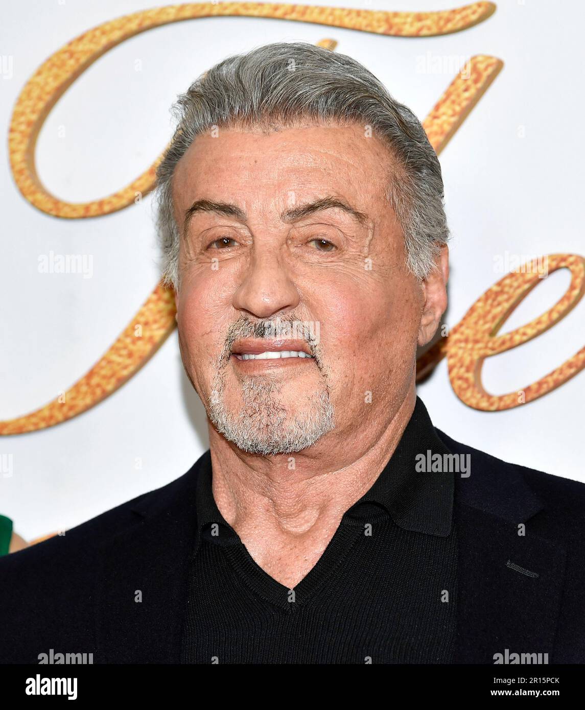 Sylvester Stallone attends the Paramount+ series "The Family Stallone ...