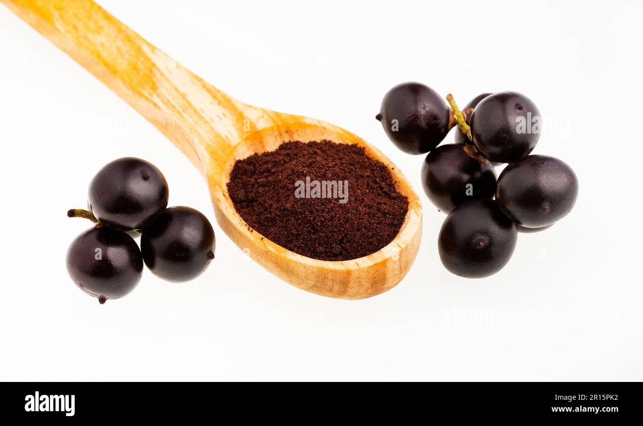 Amazonian acai berries and powder - Euterpe oleracea Stock Photo - Alamy