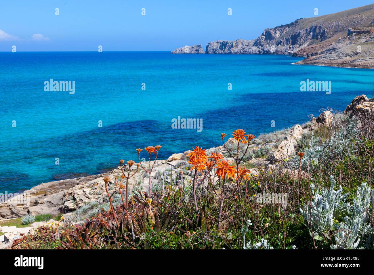 Aloe vera spray hi-res stock photography and images - Alamy