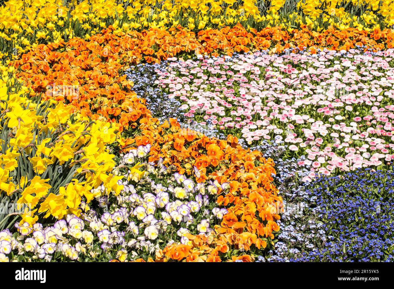 Different spring flowers in the garden Stock Photo - Alamy